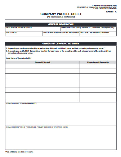 Company Sheet - 15+ Examples, Format, Pdf | Examples