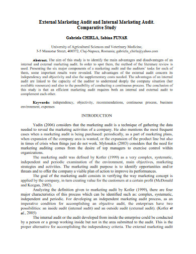 Marketing Audit - 10+ Examples, Format, Pdf | Examples