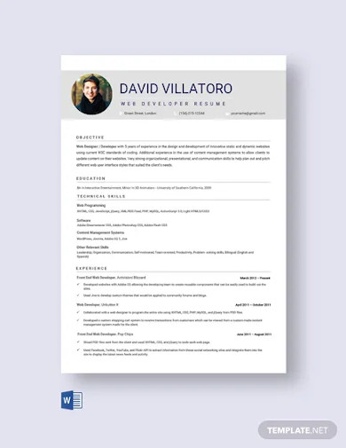 Java Developer Resume - 10+ Examples, Format, How to Create, PDF