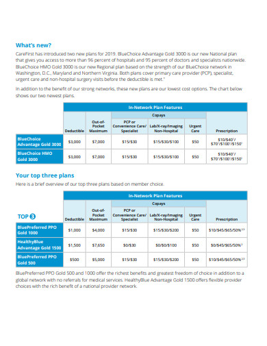 Healthcare Plan - 10+ Examples, Format, Pdf | Examples