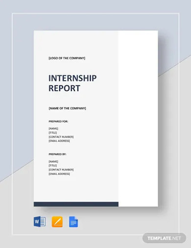 Professional Report - 26+ Examples, Format, Word, Pages, Pdf