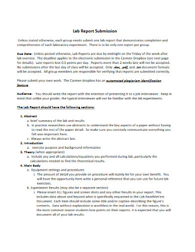 30+ Lab Report Examples in MS Word | Pages | Google Docs | PDF | Examples