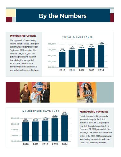 CEO Report - 10+ Examples, Format, Pdf | Examples