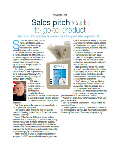 23+ Sales Pitch Examples in PDF, Google Slides, Powepoint, Flowcharts ...