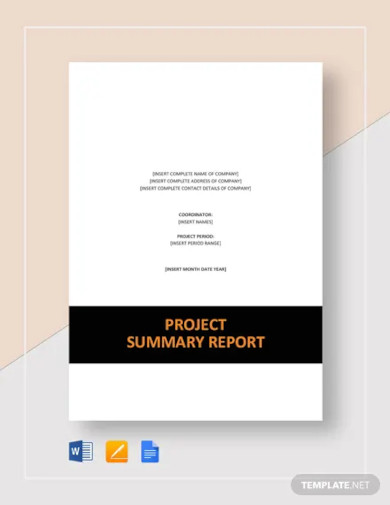 Summary Report - 18+ Examples, Format, Pdf | Examples