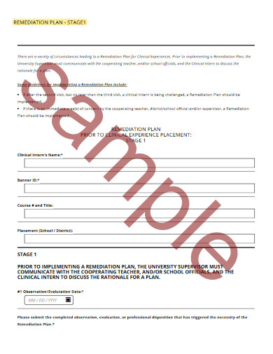 Remediation Plan - 10+ Examples, Format, Pdf | Examples
