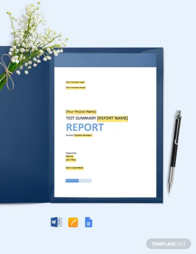 Summary Report - 18+ Examples, Format, Pdf | Examples