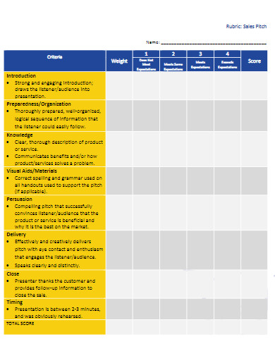 23+ Sales Pitch Examples in PDF, Google Slides, Powepoint, Flowcharts ...