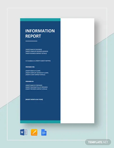 Information Report Example - 10+ Examples, Format, Pdf | Examples