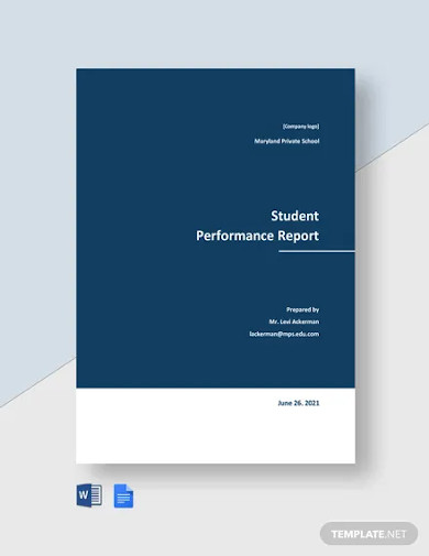 Professional Report - 26+ Examples, Format, Word, Pages, Pdf