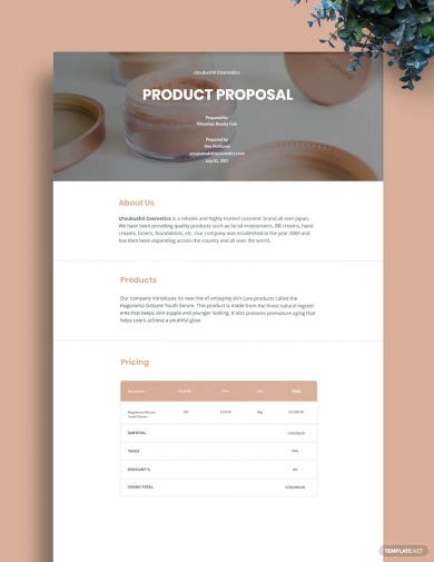 Product Proposal - 30+ Examples, Format, Pdf | Examples