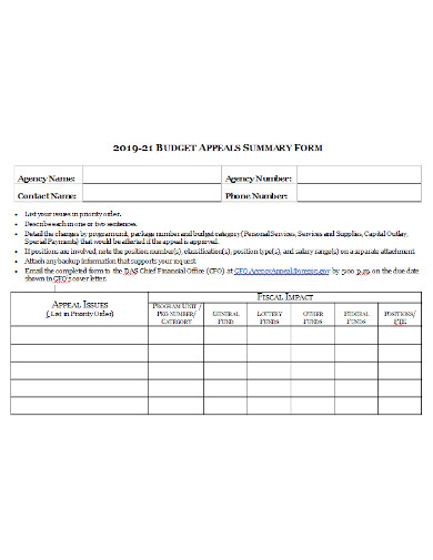 10+ Budget Summary Examples [ Federal, Union, Narrative ] | Examples