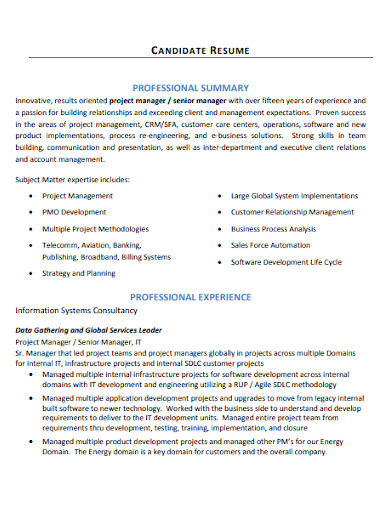 Resume Summary Statement - 10+ Examples, Format, Sample | Examples