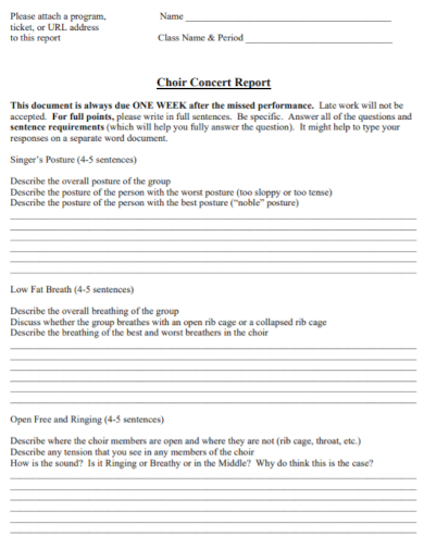 Concert Report - 10+ Examples, Format, Pdf | Examples