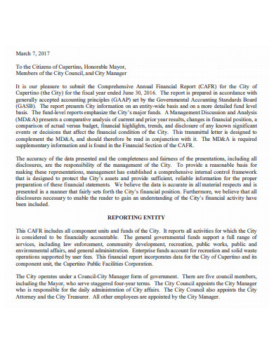 Comprehensive Annual Financial Report - 5+ Examples, Format, Pdf | Examples