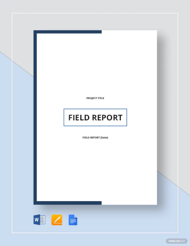 Field Report - 15+ Examples, Format, Pdf | Examples