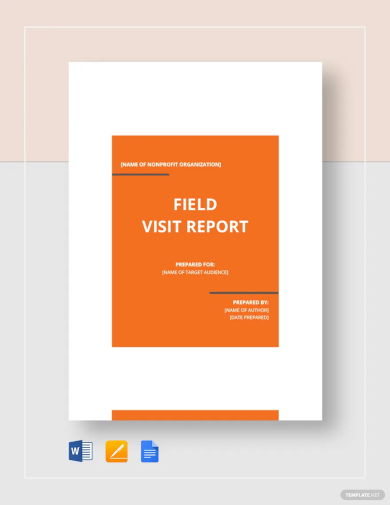 Field Report - 12+ Examples, Format, Pdf | Examples