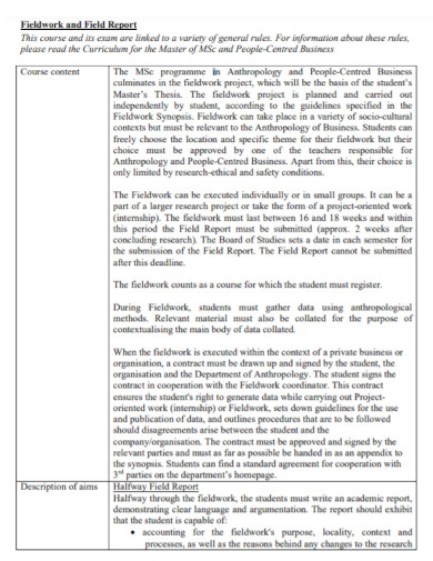 Field Report 12 Examples Format Pdf Examples