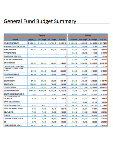 10+ Budget Summary Examples [ Federal, Union, Narrative ] | Examples
