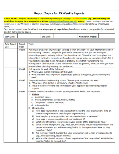 Internship Weekly Report 12 Examples Format Pdf Examples