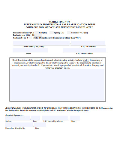 Internship Report Form - 9+ Examples, Format, Pdf | Examples