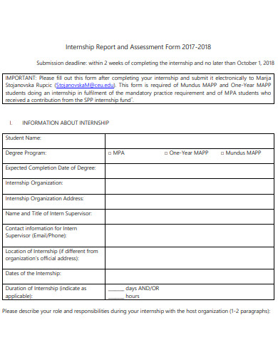Internship Report Form - 9+ Examples, Format, Pdf | Examples