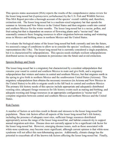 Long Report - 10+ Examples, Format, Pdf | Examples