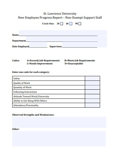 Job Progress Report - 8+ Examples, Format, Pdf | Examples