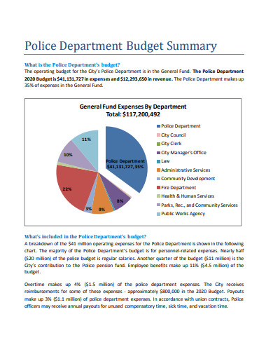 10+ Budget Summary Examples [ Federal, Union, Narrative ] | Examples