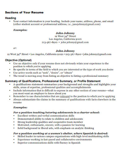 Resume Summary Statement - 10+ Examples, Format, Sample | Examples