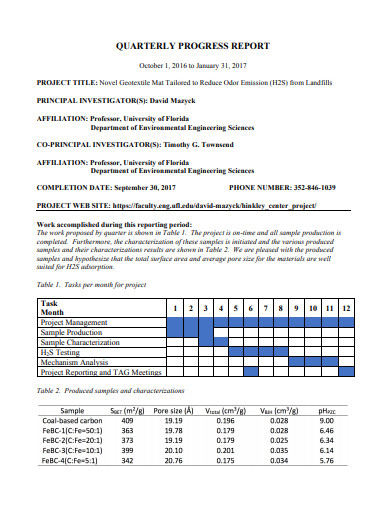 Quarterly Progress Report - 9+ Examples, Format, Pdf | Examples