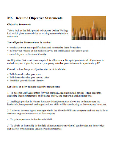 Resume Objective Statement - 9+ Examples, Format, Sample | Examples