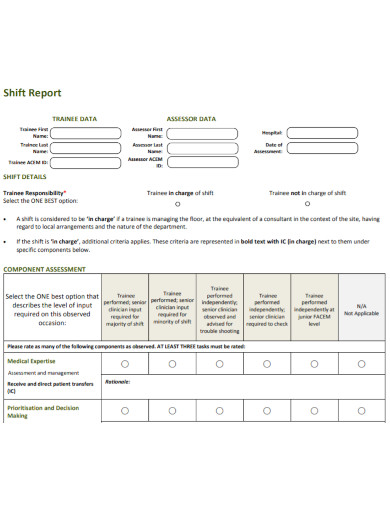 Shift Report - 10+ Examples, Format, Pdf | Examples