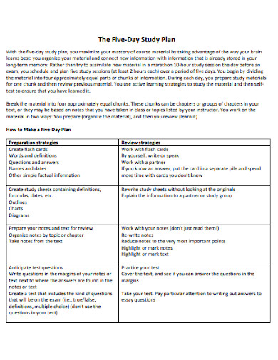 Five Day Study Plan - 10+ Examples, Format, Pdf | Examples