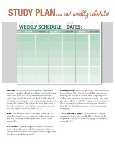 Weekly Study Schedule Examples 10 Time Table Language Student Examples