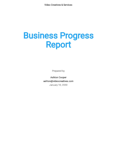 Business Progress Report - 5+ Examples, Format, Pdf | Examples