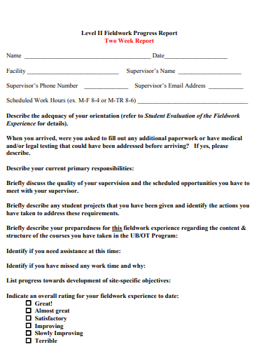 Work Progress Report - 9+ Examples, Format, Pdf | Examples