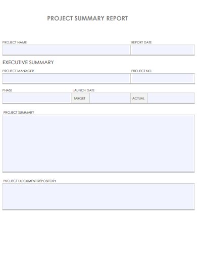 10+ Project Summary Report Examples [ Pilot, Construction, SAP ] | Examples