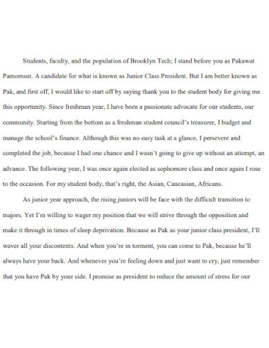 19 Election Speech Examples PDF Examples