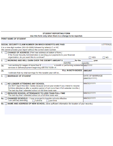 Student Report Form - 8+ Examples, Format, Pdf | Examples