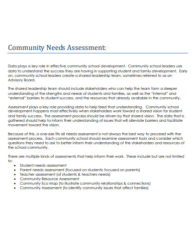 Community Needs Assessment - 10+ Examples, Format, Pdf | Examples