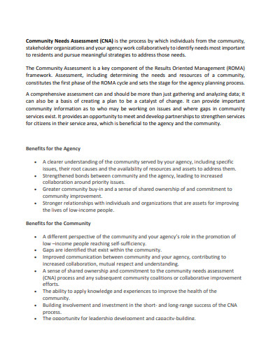 Community Needs Assessment - 10+ Examples, Format, Pdf | Examples