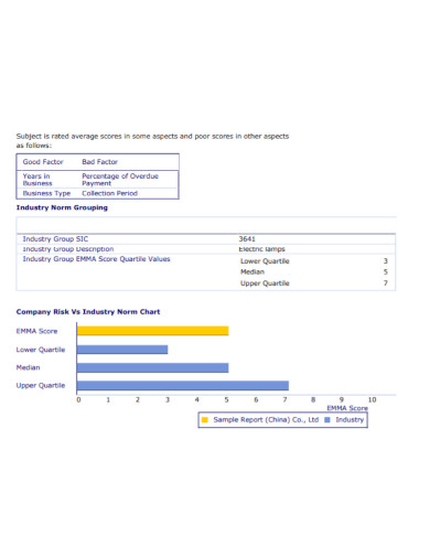 Business Information Report - Examples, How to Write, PDF