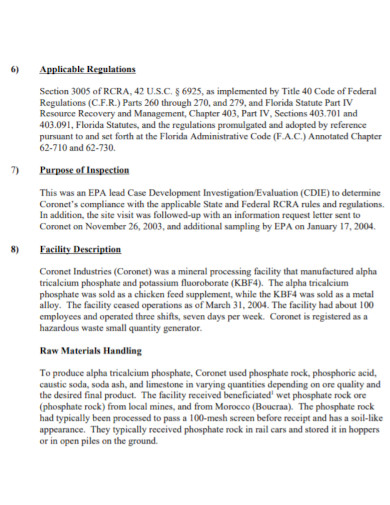 Inspection Evaluation Report - 10+ Examples, Format, Pdf | Examples