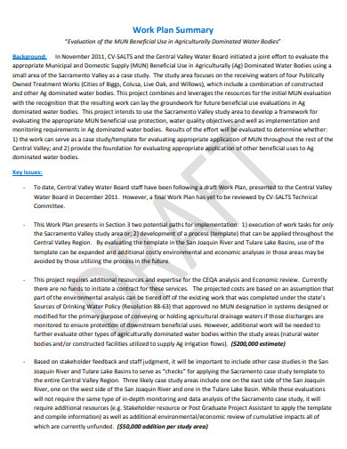 10+ Summary Work Plan Examples [ Project, Annual, Stages ] | Examples