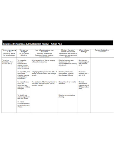 Performance Action Plan - 10+ Examples, Format, Pdf | Examples