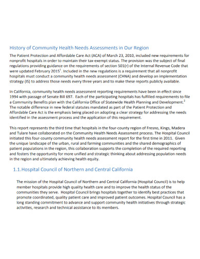 Health Needs Assessment - 10+ Examples, Format, Pdf | Examples