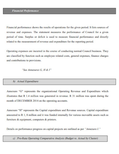 10+ Financial Management Report Examples [ Business, Project, Company ...