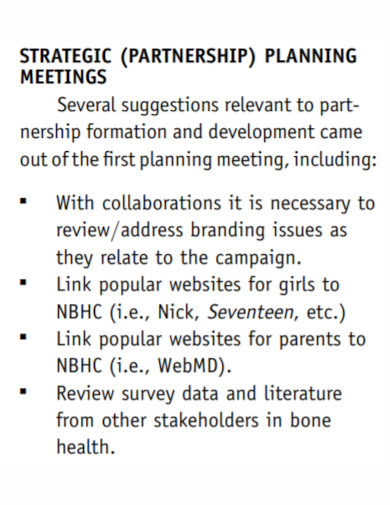 Partnership Marketing Plan - 6+ Examples, Format, Pdf | Examples