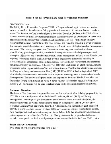 10+ Summary Work Plan Examples [ Project, Annual, Stages ] | Examples